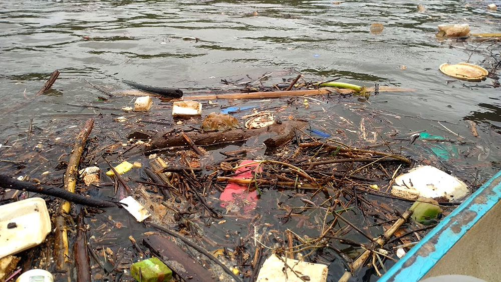 El río Paraná, plagado de basura - Primera Edición
