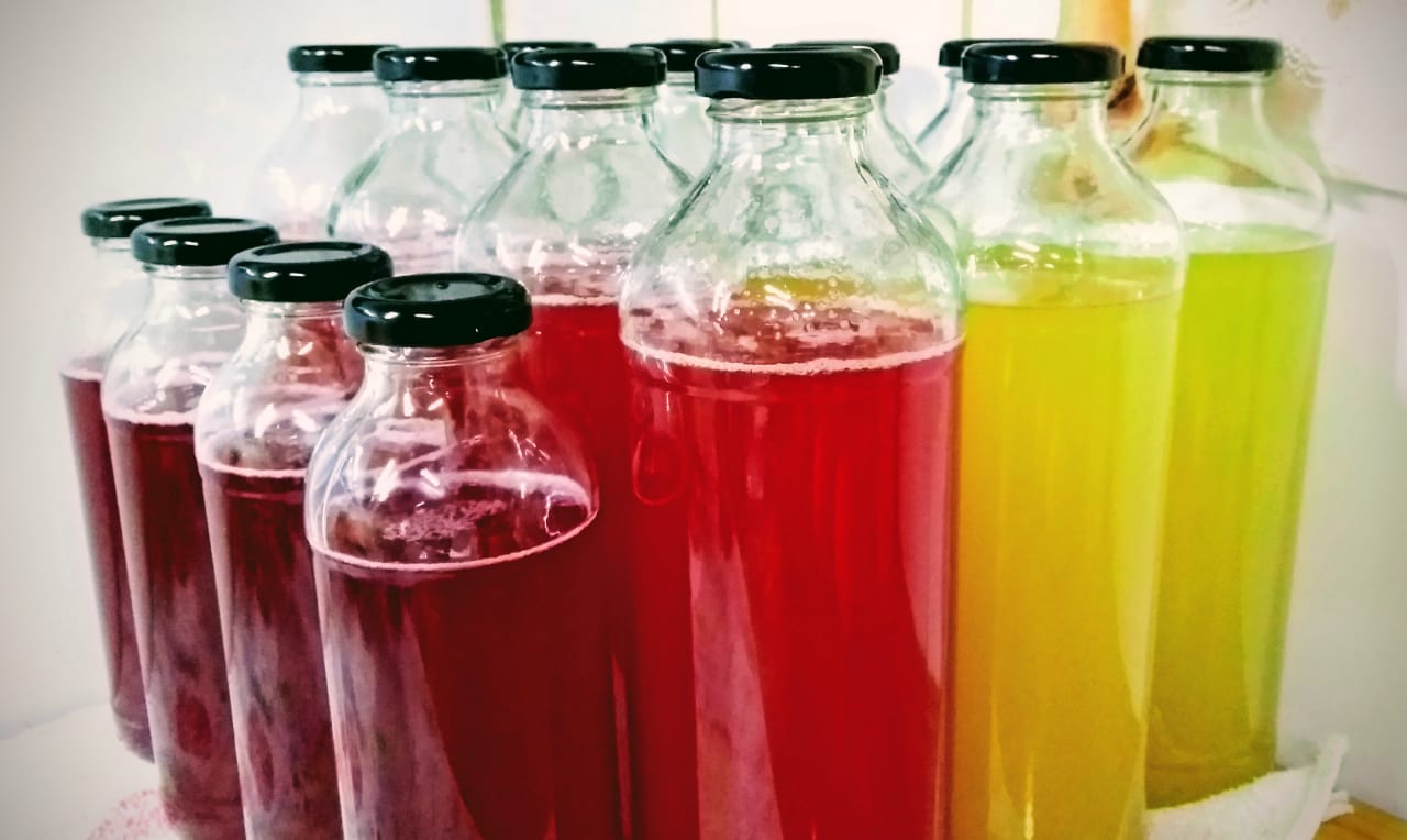 Comidas y bebidas fermentadas ganan espacios en las casas - Primera Edición