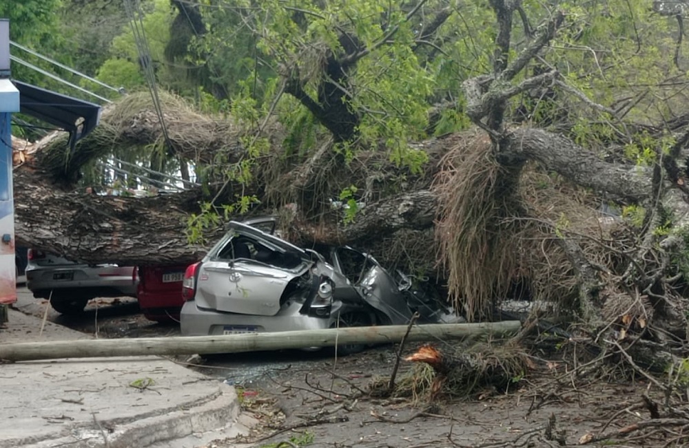 El paso de la tormenta por Corrientes causó varios daños y destrozos ...