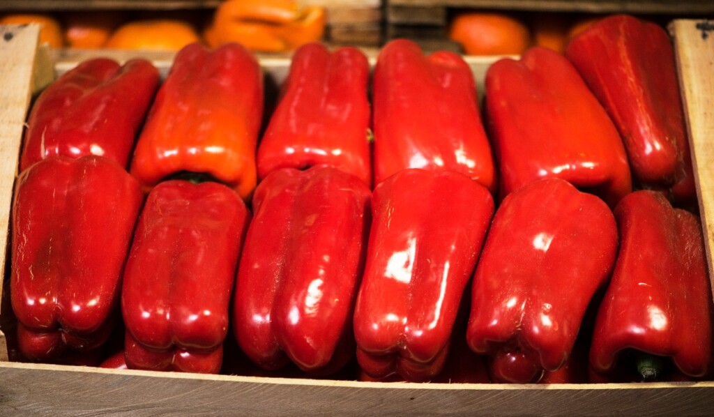 Morrón rojo, verde y amarillo: cuál es la diferencia